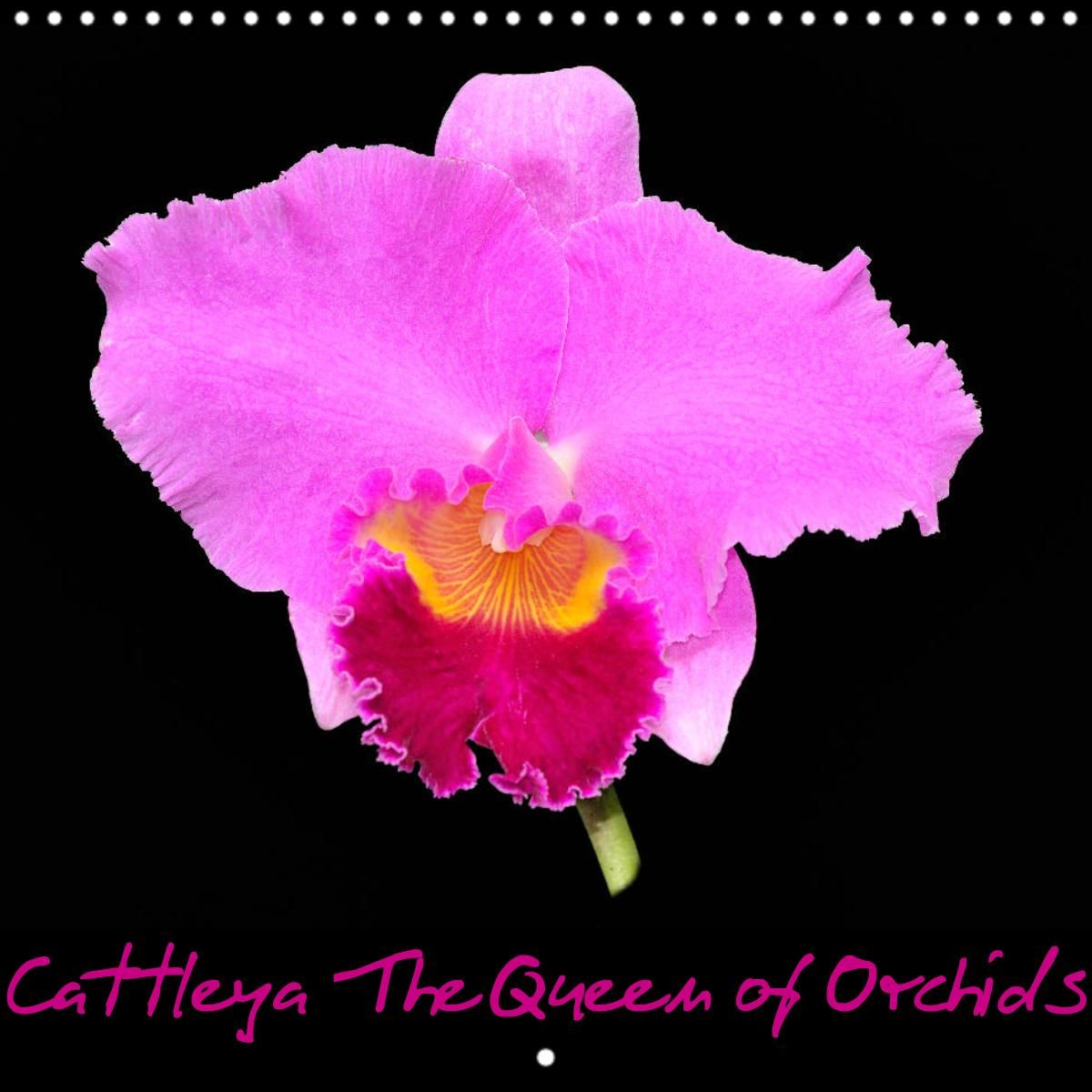 Cattleya The Queen of Orchids - CALVENDO