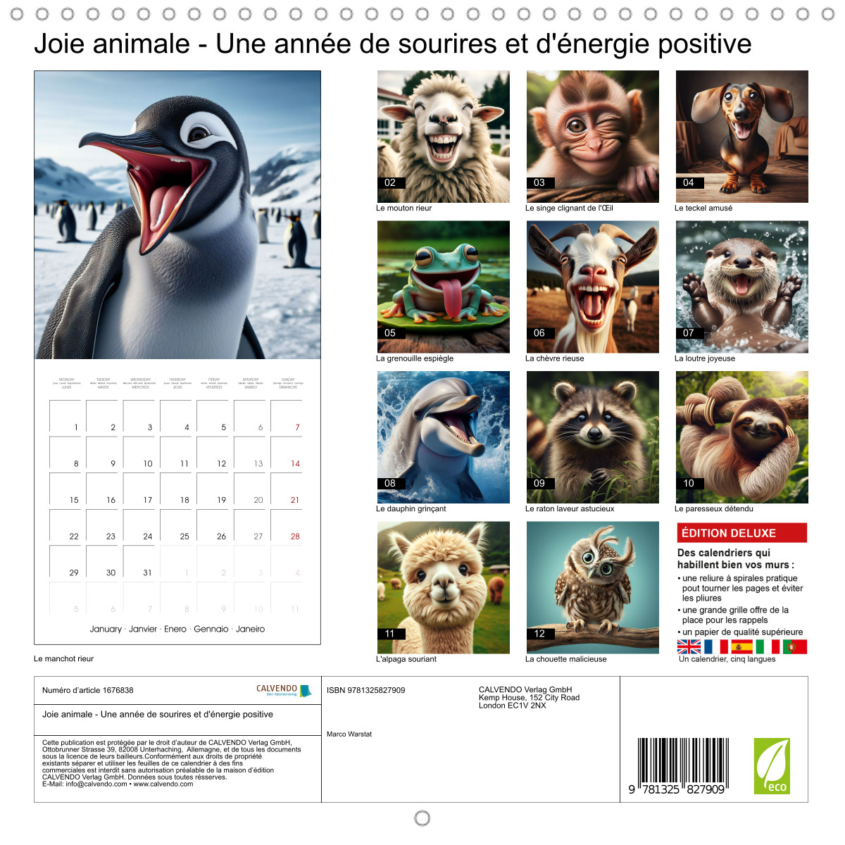 Les plus beaux calendriers pour chaque occasion