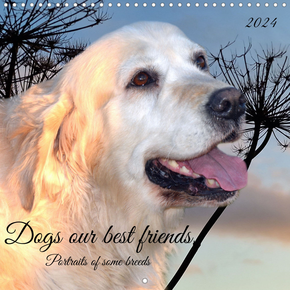Why Dogs Are Our Best Friends