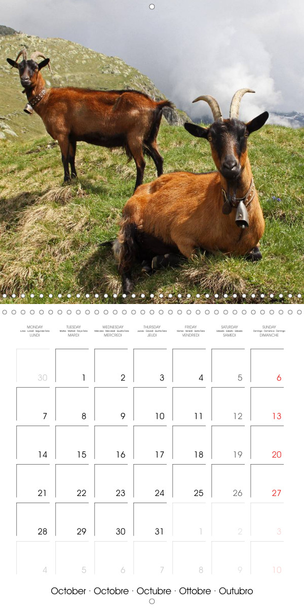 Goat Calendars 2022