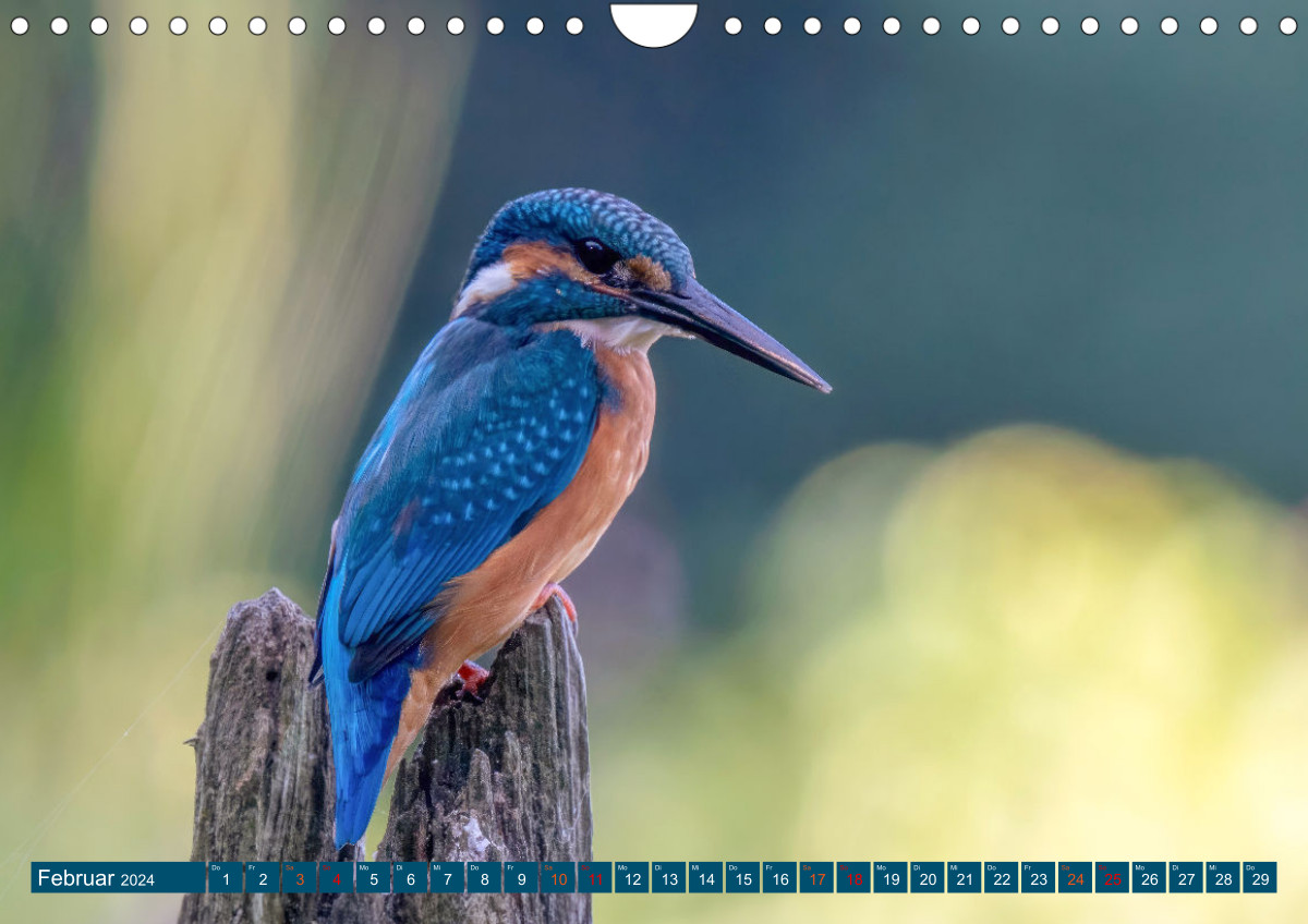 The most beautiful calendars for any occasion