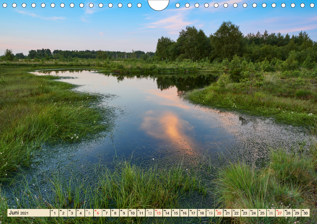 Niedersachsens Natur - CALVENDO