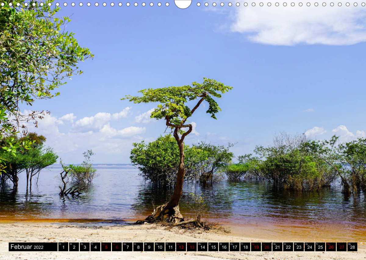 Amazonas - Faszination Regenwald - CALVENDO