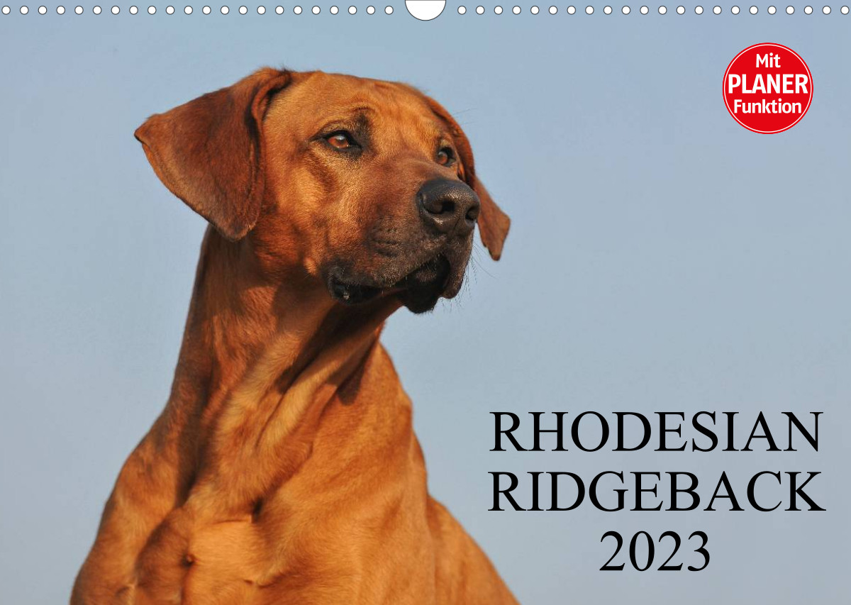 (Geburtstagskalender, 14 Seiten )