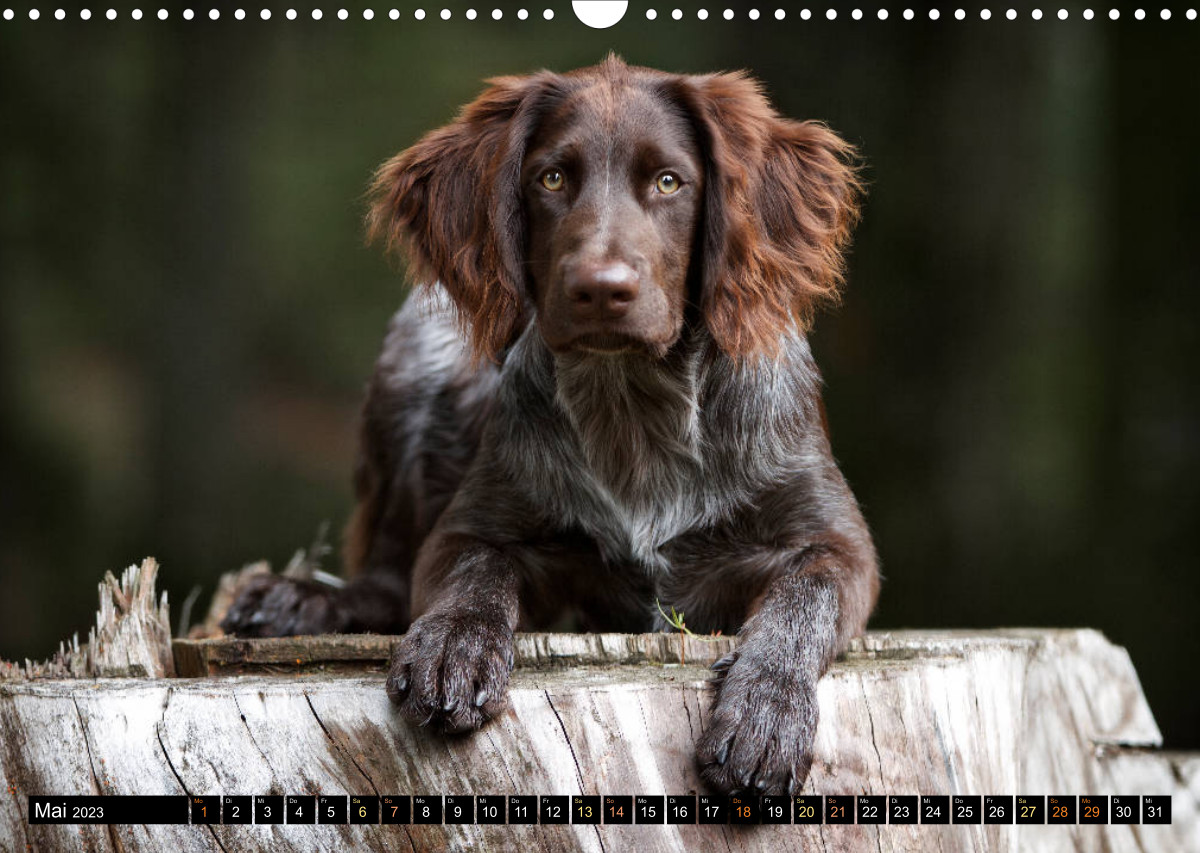 (Monatskalender, 14 Seiten )