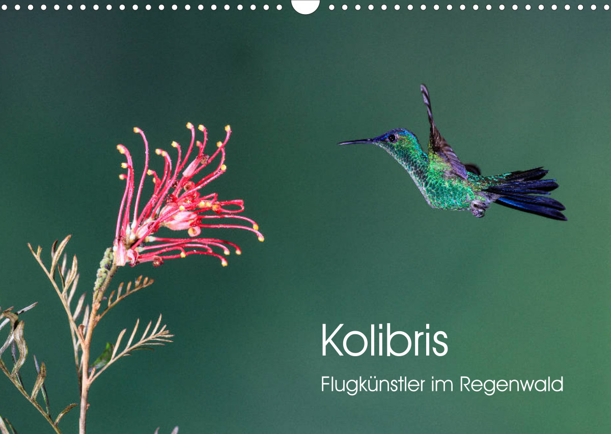(Monatskalender, 14 Seiten )