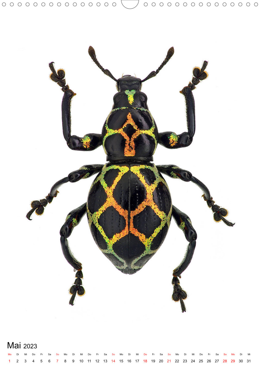 (Monatskalender, 14 Seiten )