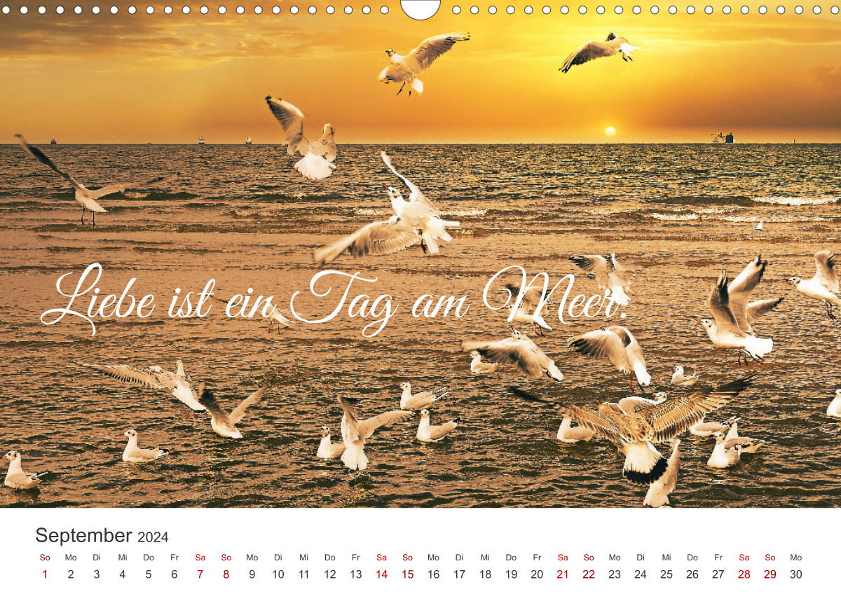 Produktbeschreibung