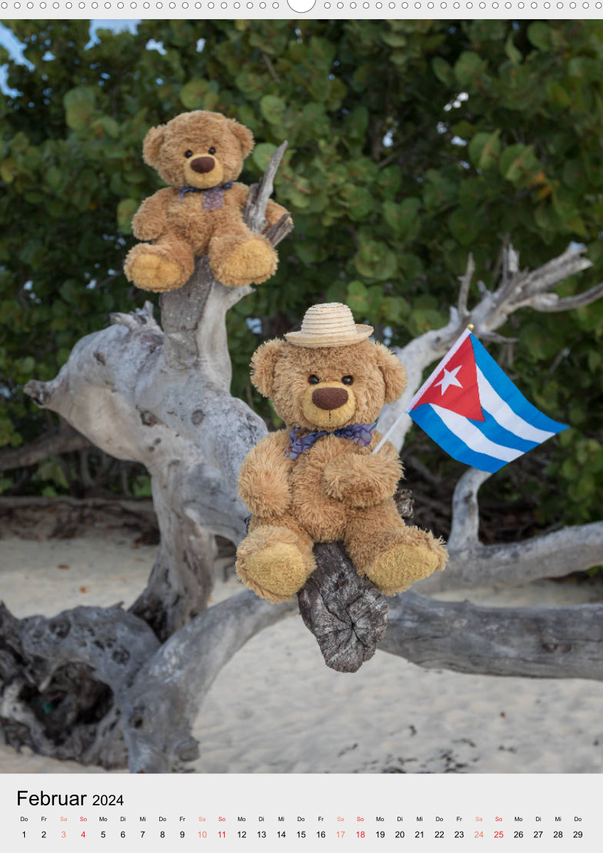 Travelling Teddy auf Welt-Tour | Diese Sammlung von hochqualitativen ...
