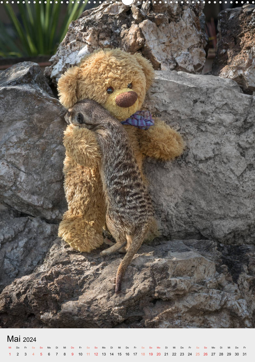 Travelling Teddy auf Welt-Tour | Diese Sammlung von hochqualitativen ...