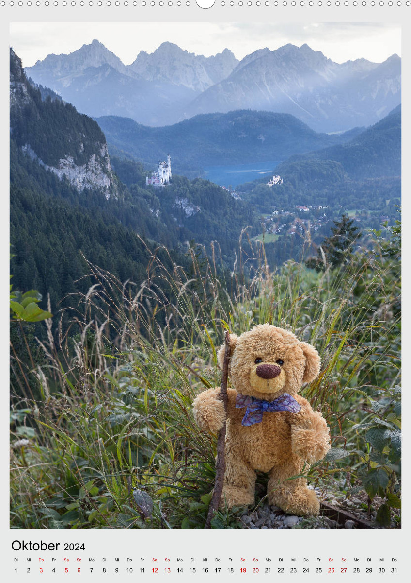 Travelling Teddy auf Welt-Tour | Diese Sammlung von hochqualitativen ...