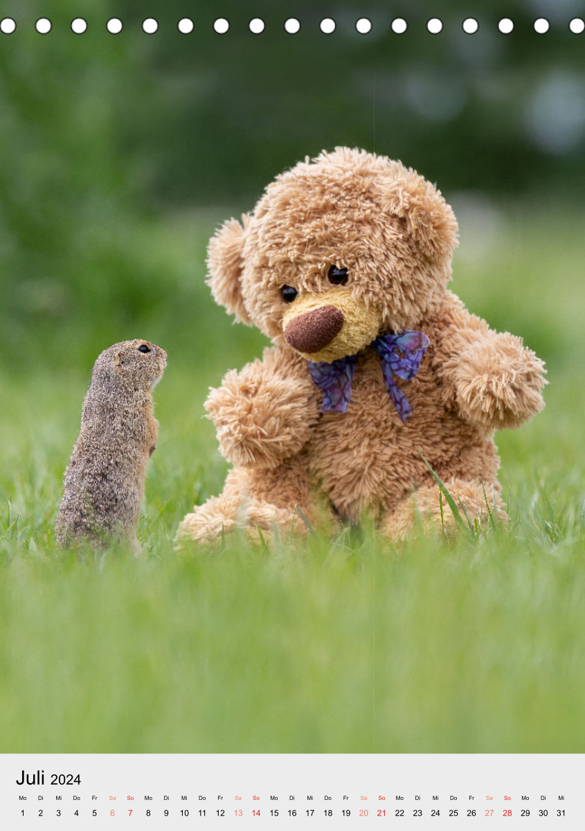 Travelling Teddy auf Welt-Tour | Diese Sammlung von hochqualitativen ...